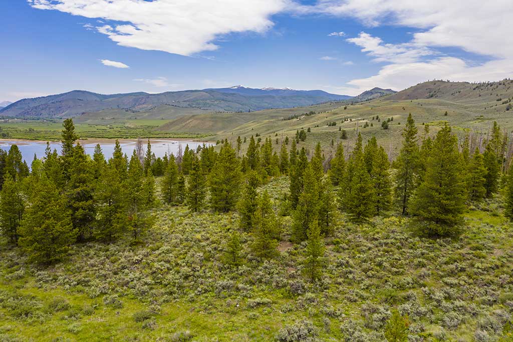 Mountain Ranch Land for Sale in Colorado