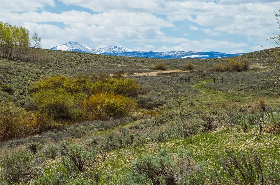 Mountain Ranch Land for Sale in Colorado